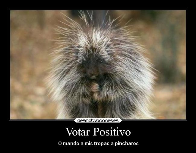 Imágenes y Carteles de LIXINI | Desmotivaciones